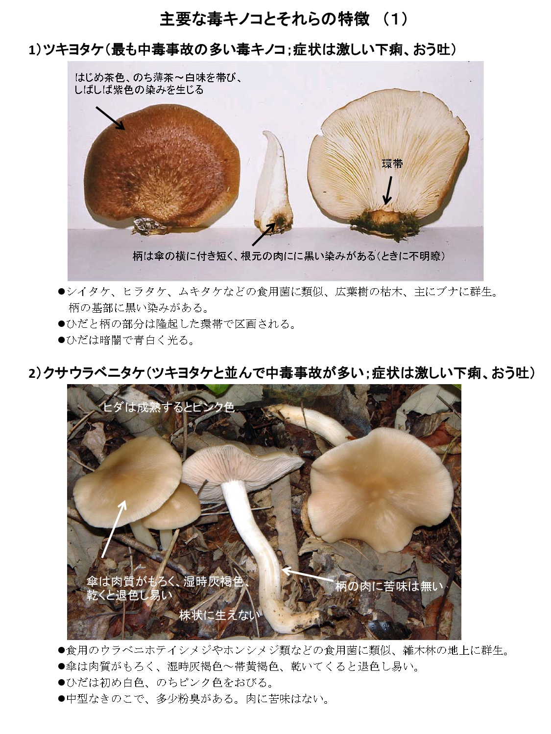 毒きのこによる食中毒にご注意ください💀 一般財団法人日本きのこセンター